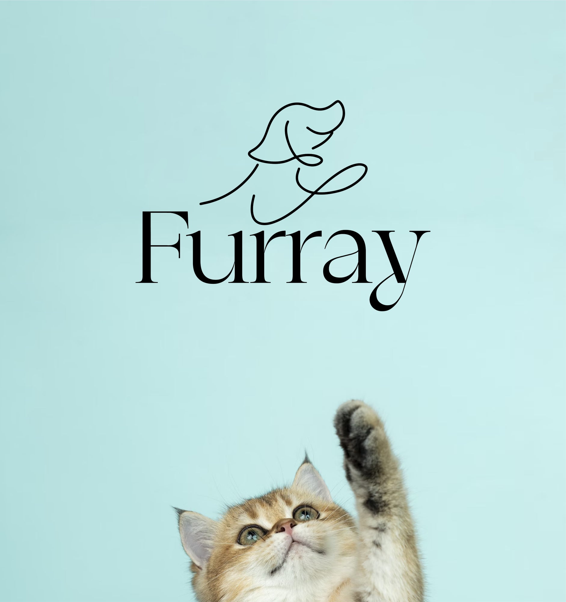 Our Brand Guide – Furray