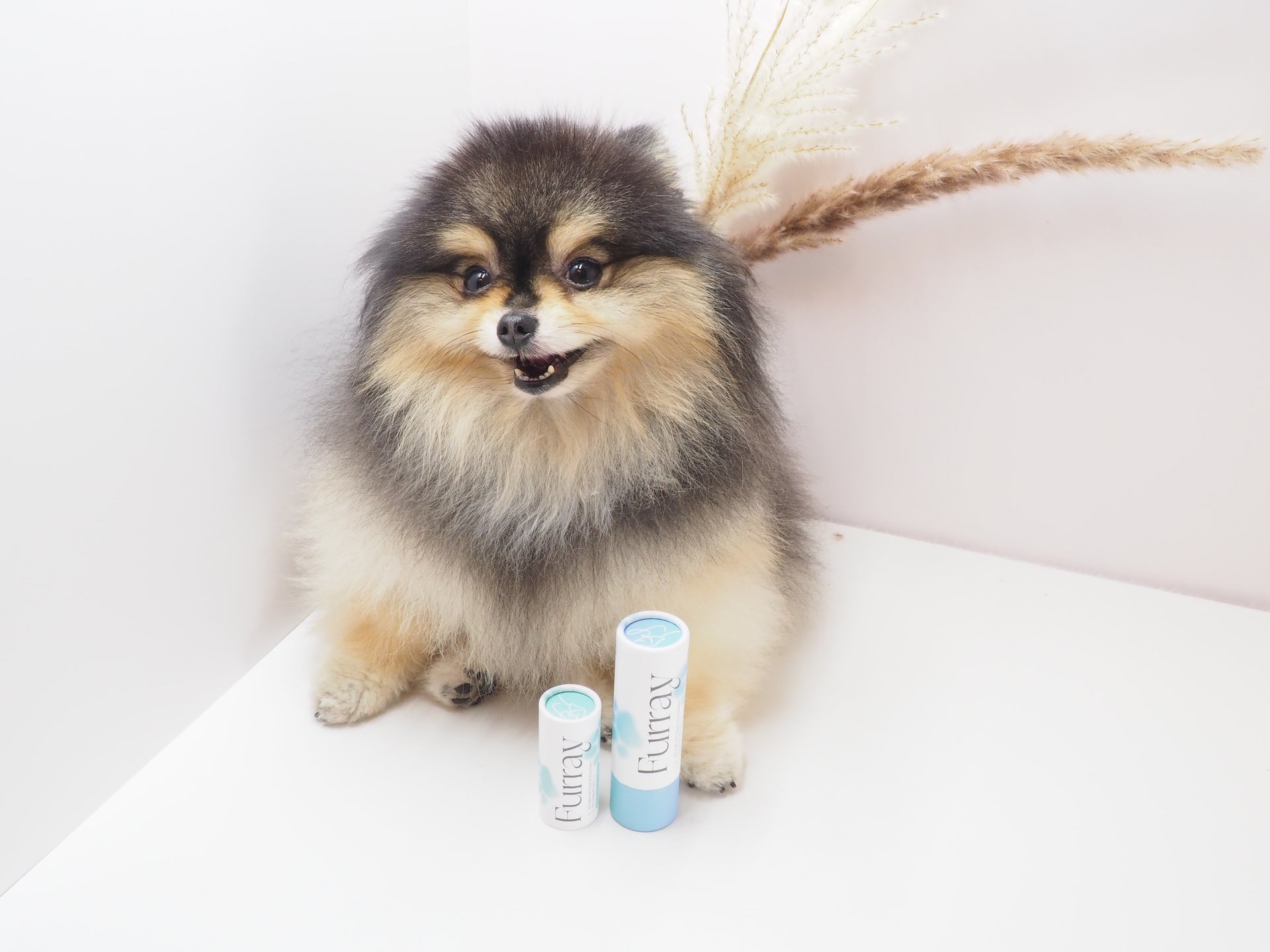 Furray & Co. - Natural Pet Care Essentials
