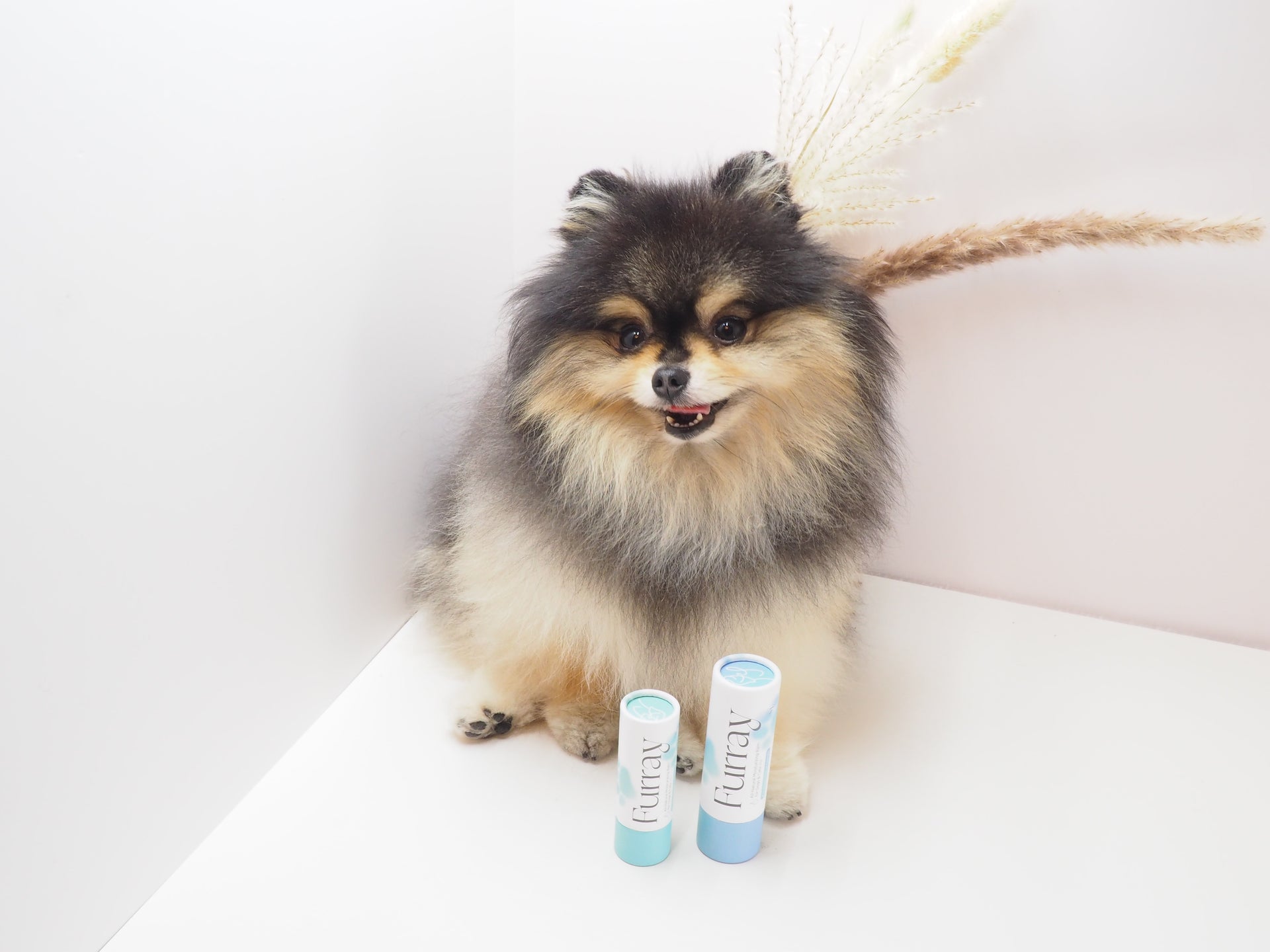 Furray & Co. - Natural Pet Care Essentials